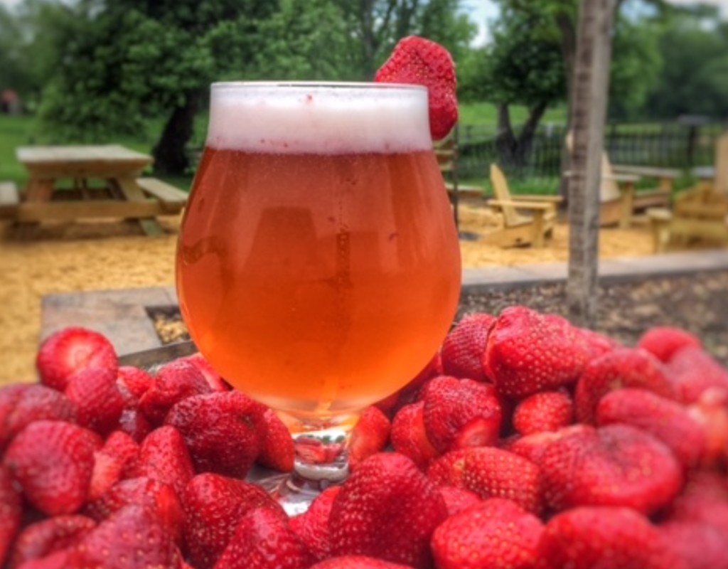 Beer and Berries Festival Brings New Tradition - Montgomery Community Media