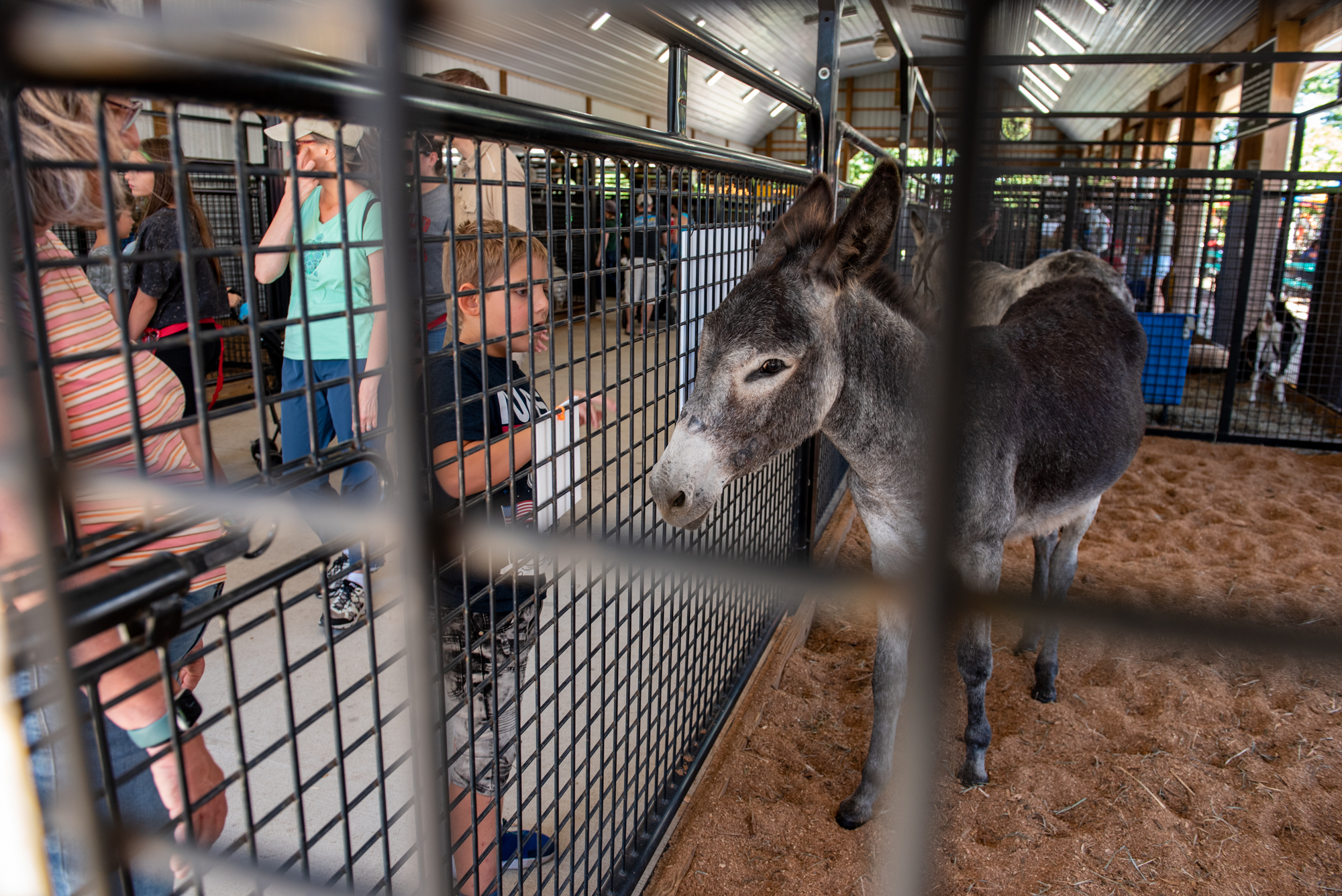 5 Things To Do at Montgomery County Agricultural Fair - Montgomery ...
