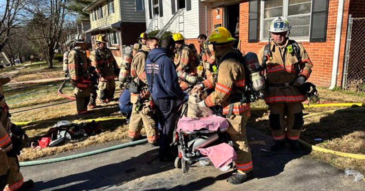 2 Dogs Pulled From House on Fire in Kensington - Montgomery Community Media