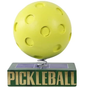 Celebrating National Pickleball Day at the YMCA - Montgomery Community ...