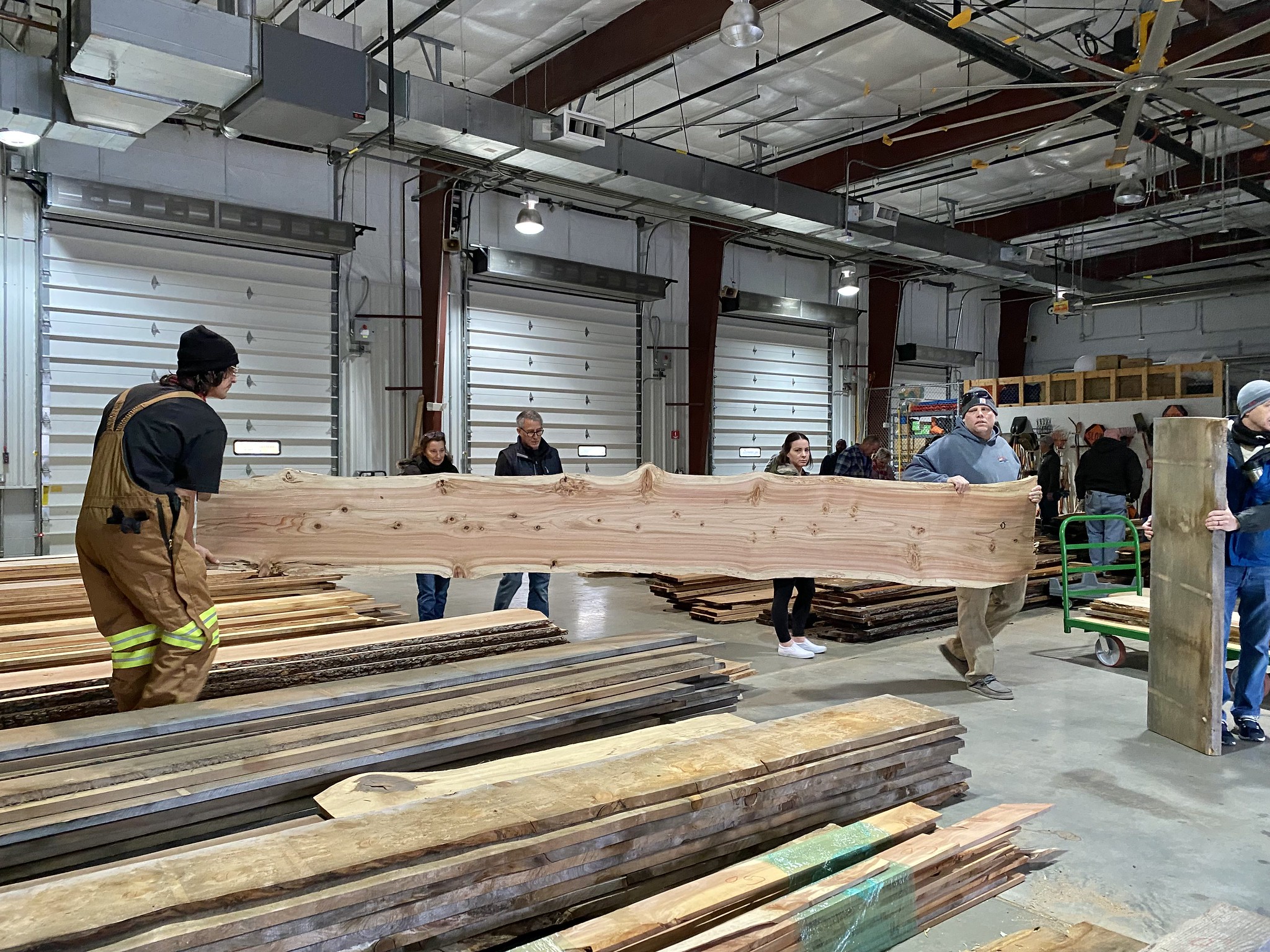 Montgomery Parks' Annual Sale Features Wood from Linden Oak ...